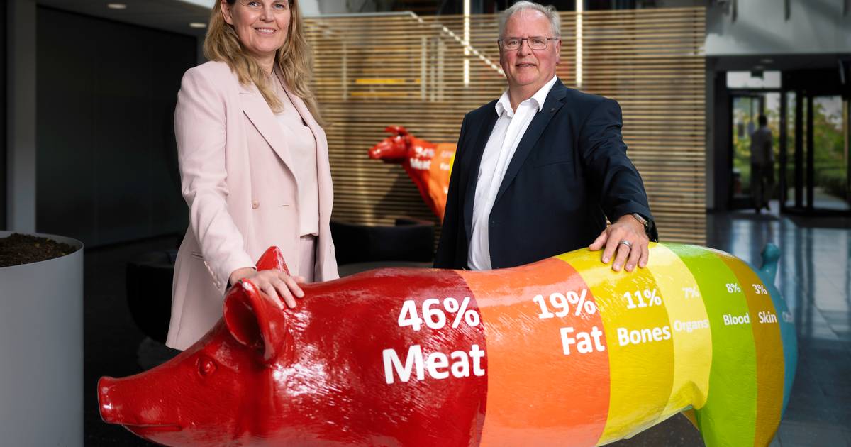 Miljoenen van boeren verdampen bij Vion, topman vertrekt | Binnenland ...