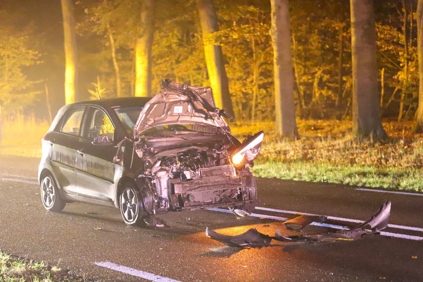 Ree overleden door botsing met auto in Ede, auto total loss | Foto ... Ree overleden door botsing met auto in Ede, auto total loss | Foto ...