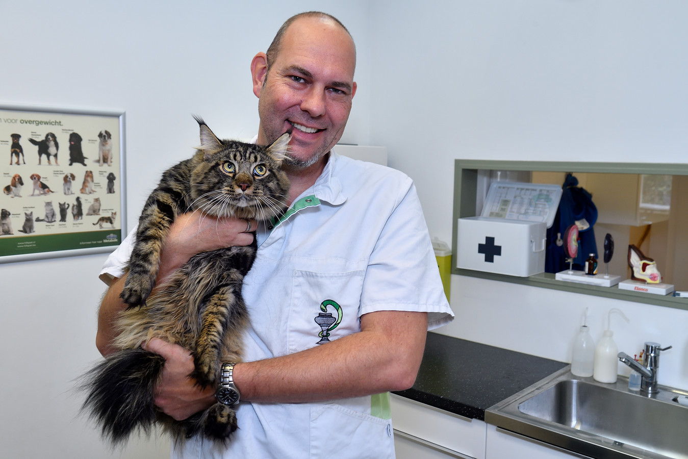 ‘Sociale’ dierenartsen van BeterBeest zijn vijfde van het land | Foto ...