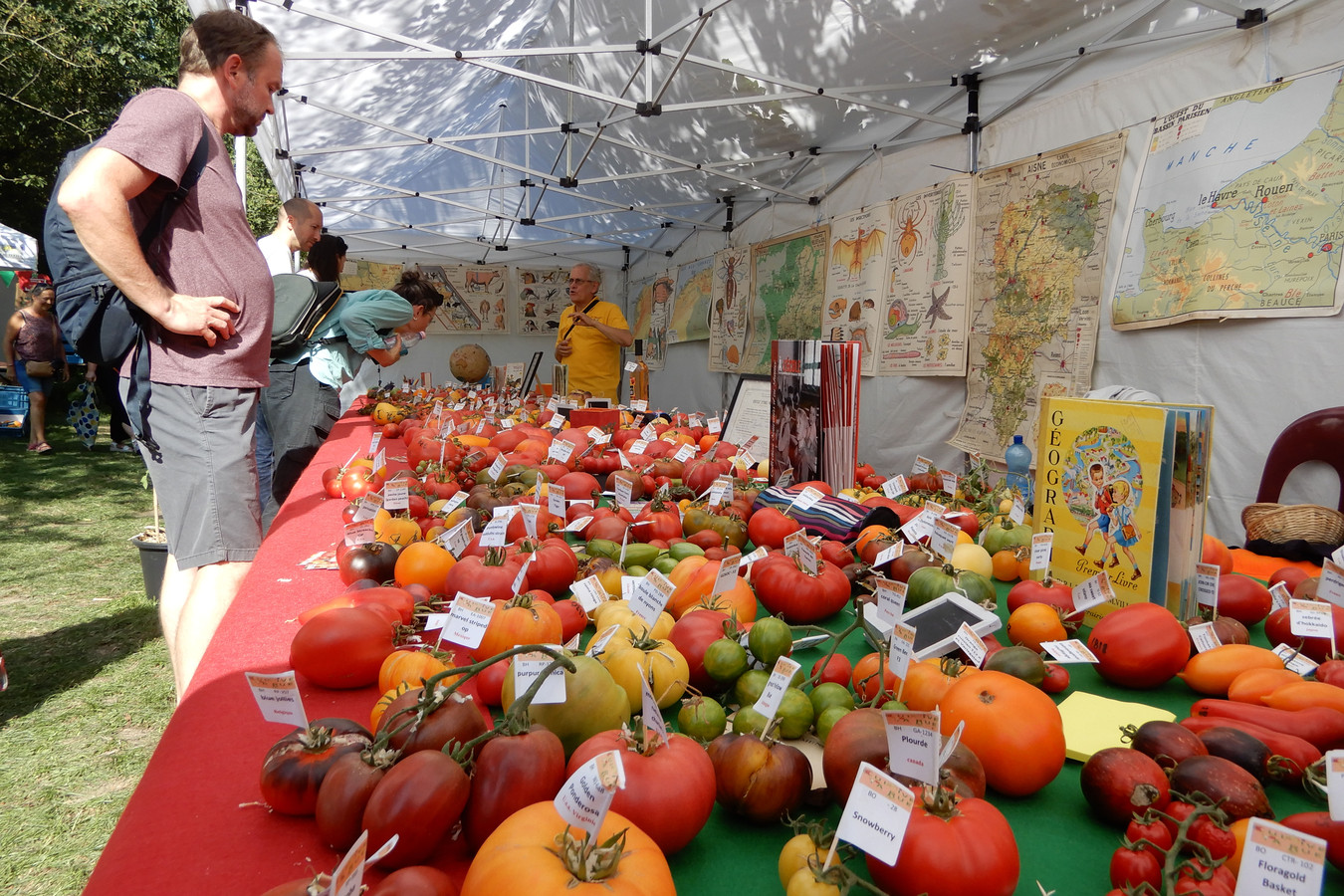 Meer dan 1.400 tomatenvariëteiten op Tomatenfestival | Foto | hln.be