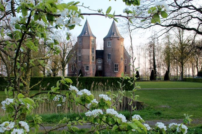 Een nieuw Beatrix-beeld voor Kasteel Dussen? Het kan! | Rivierenland ...