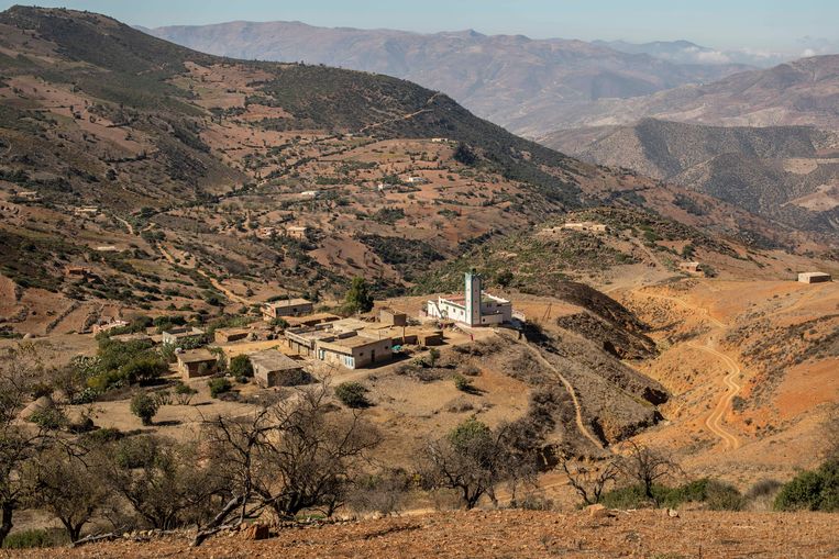 Marokko slaat de weg van de legale cannabis in. Alleen weten de telers ...