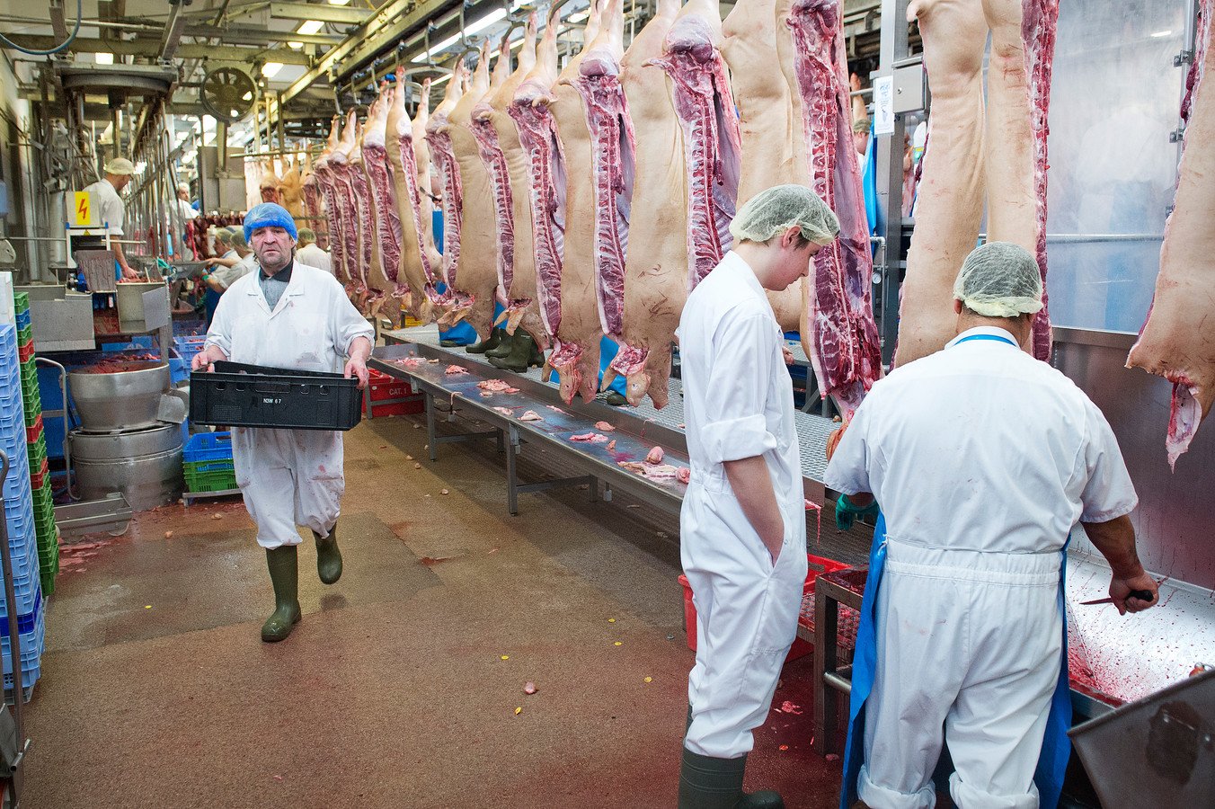 Stevige nederlaag voor Nijmegen rond slachthuis-affaire: gemeente kan ...