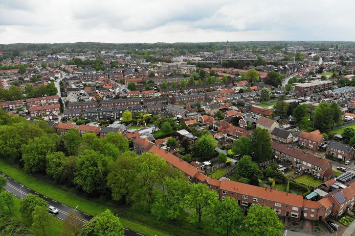 Hitte vormt bedreiging voor wijk Glinde-Hooiland: ‘Schaduw van bomen ...
