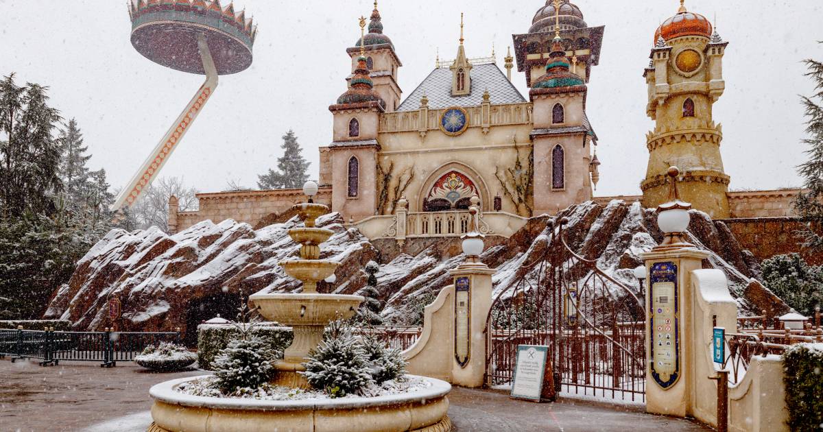 Efteling heeft last van stroomtekort Brabant: mogelijk niet genoeg elektriciteit voor nieuwe ...