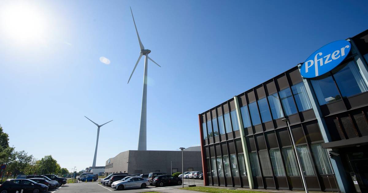 Pfizer Puurs zoekt nog eens 80 nieuwe medewerkers: “Kwaliteitsafdeling ...