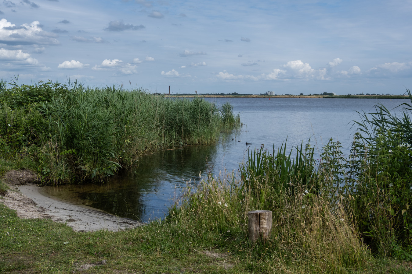 Nudisten balen stevig van verwarring met sekstoerist: ‘Er gebeurt ...