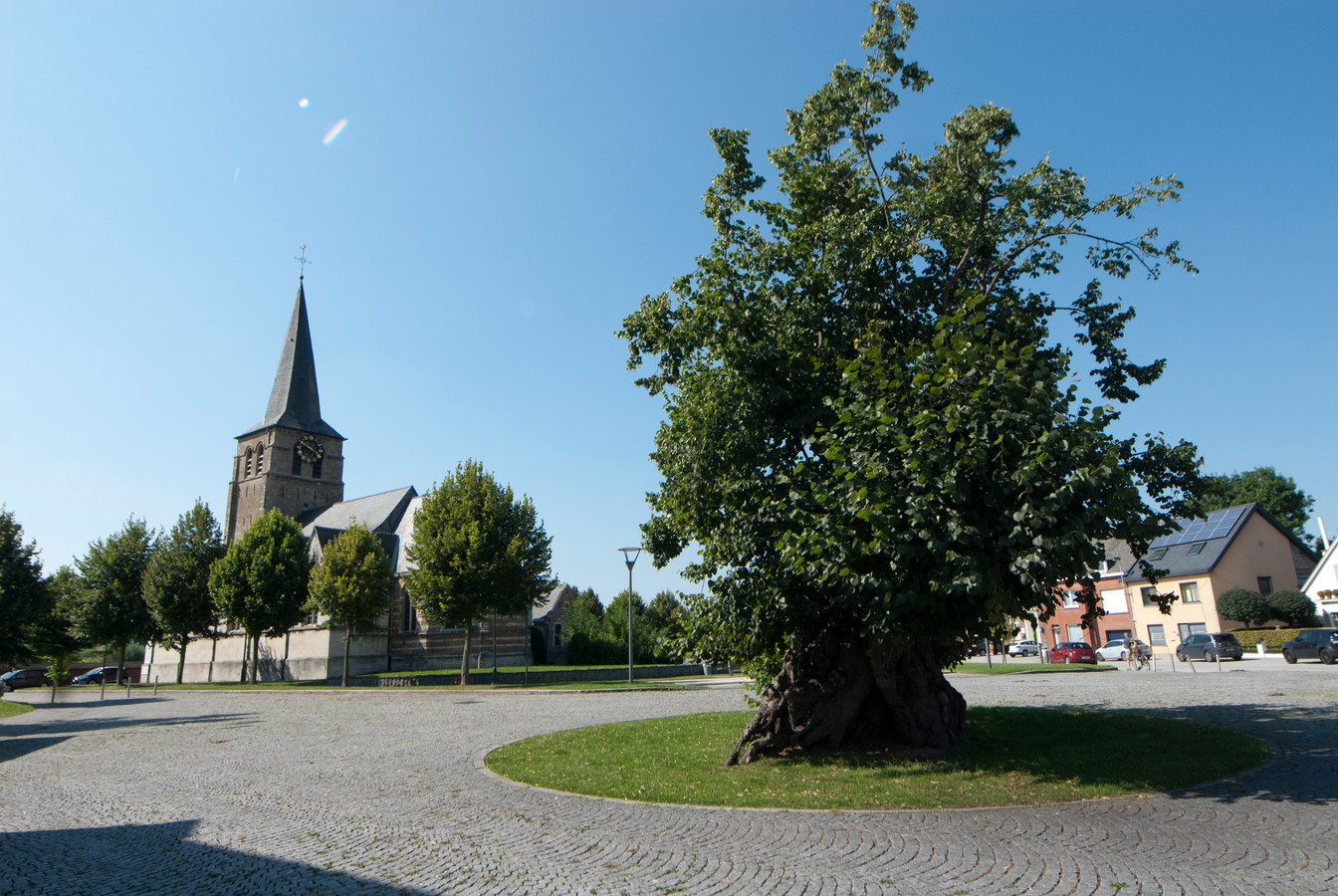 Openluchtfeestje op Dorp Massemen | Foto | hln.be