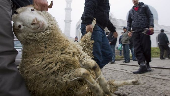 Strenge controles tijdens offerfeest | Islam | hln.be
