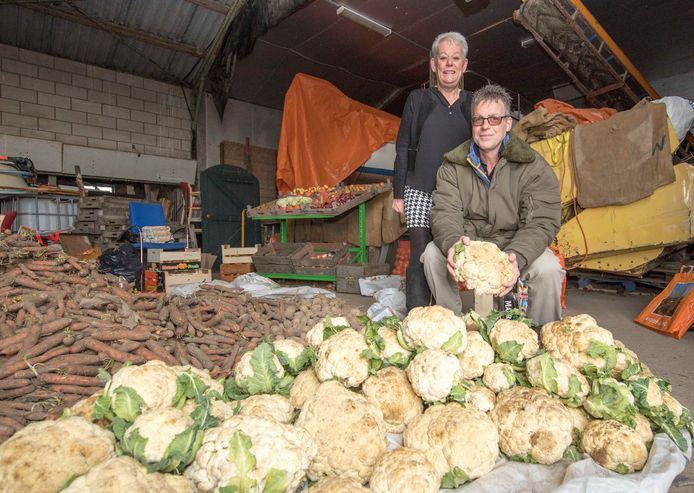 Corrie en Martin uit Wolphaartsdijk krabbelen op na zwaar ongeluk: ‘Die ...