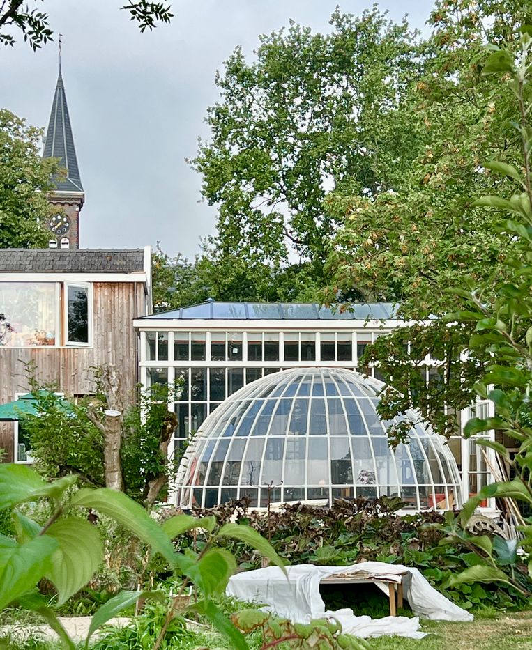 Wandelen langs de haven in Ruigoord | Het Parool