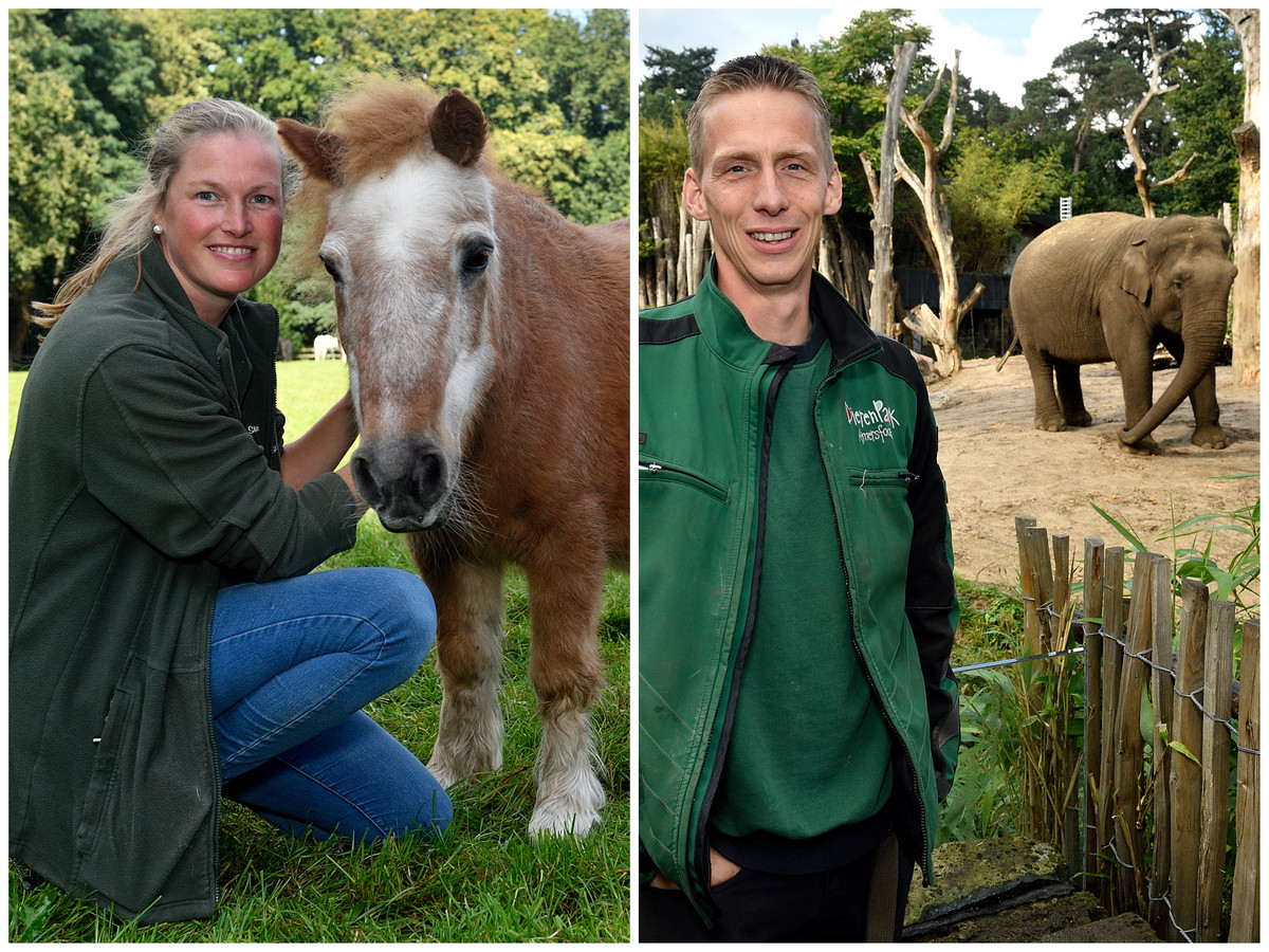 Deze twee dieren zijn hét icoon van hun dierenpark: ‘Het is soms net ...