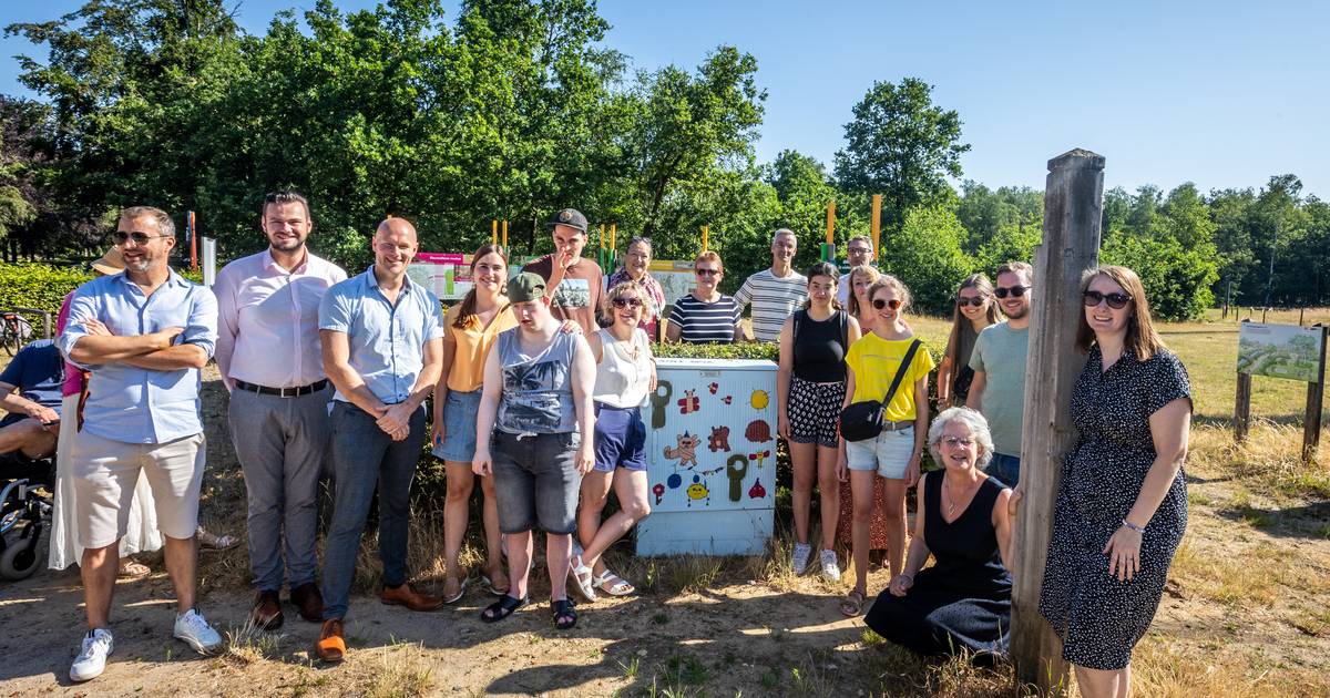 30 saaie elektriciteitskastjes kregen kleurrijke make-overs in ‘Tour ...