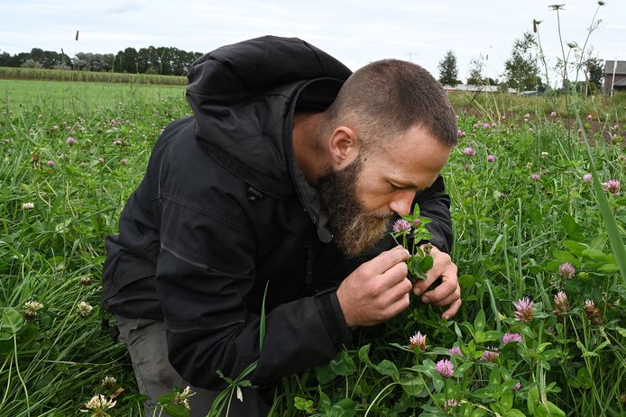 Zorgen bij ZLTO over ‘landjepik’ voor nieuwe natuur | Land van Cuijk ...
