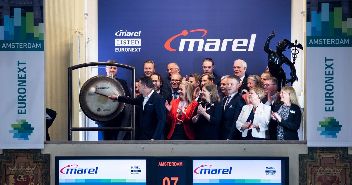 Machinebouwer Marel uit Boxmeer naar de beurs | Boxmeer | gelderlander.nl