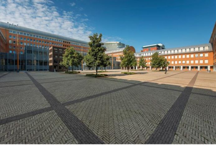 Iemand levend villen en van balkon gooien? ‘Het waren gevoelens die bij ...