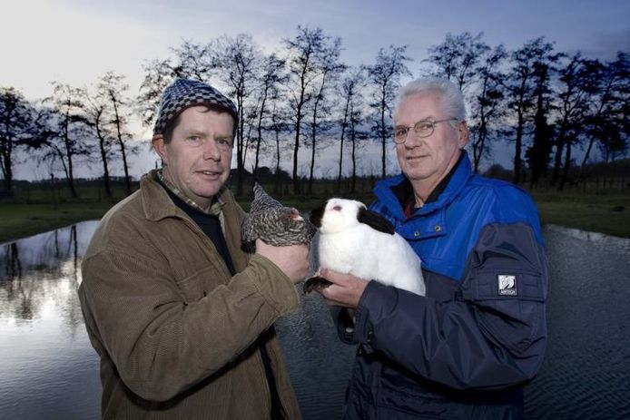 'Het ideale dier fokken is het doel' | Achterhoek | gelderlander.nl