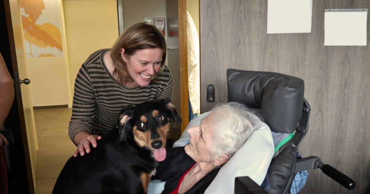 Dag van de therapiehond in woonzorgcentrum Het Paradijs: “Als bewoners ...