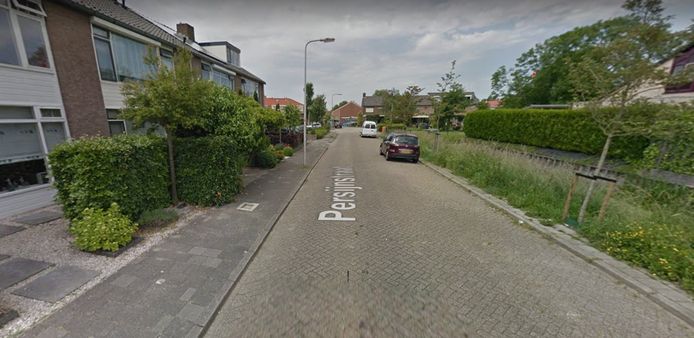 Bewoners ergeren zich aan scheve stoep en dode bomen | Westland | AD.nl