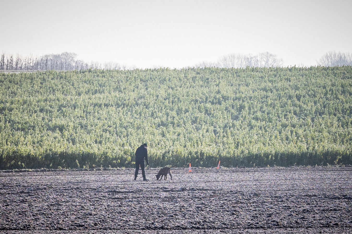“Ik mikte op een rat... Nee, op een haas”: onderzoek naar jager die Ken ...