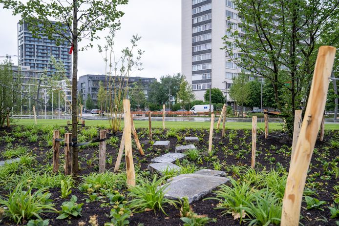 Nieuw park op Zuid krijgt de naam 'Zuidpark’ | Antwerpen | hln.be