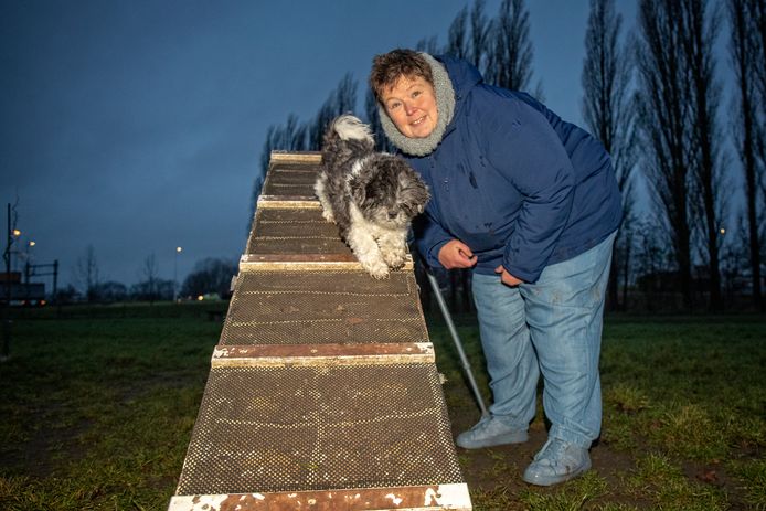 'Blaftax' loopt op laatste pootjes | Groene Hart | AD.nl