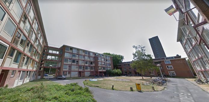 Vrees voor illegaal festival bij IBB-studentencomplex | Utrecht | AD.nl