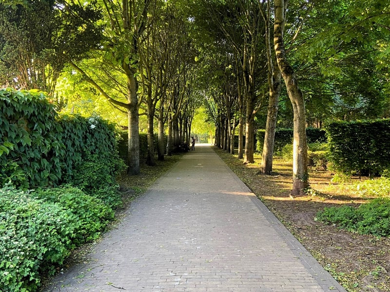 Stadspark en speelplein De Waaiburg voortaan ook 's avonds open | Foto ...