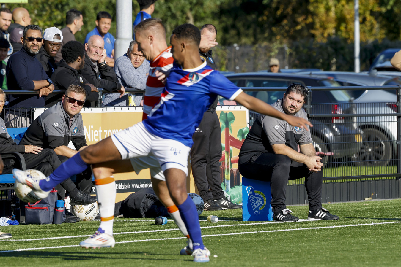 De opdracht van Charlois-trainer David van Dam: een vijfjarenplan, 54 ...