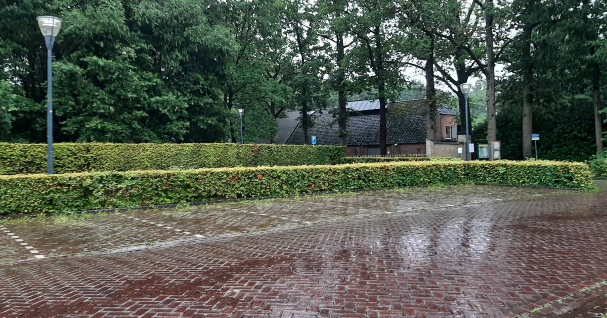 Natuur bij kasteel Geldrop moet wijken voor extra parkeerplekken ...