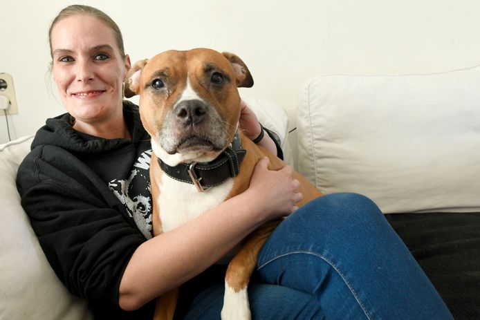Twentse Nathalie heeft pitbulls: ‘Fokverbod? Probleem zit aan de andere kant, elke gek kan ...