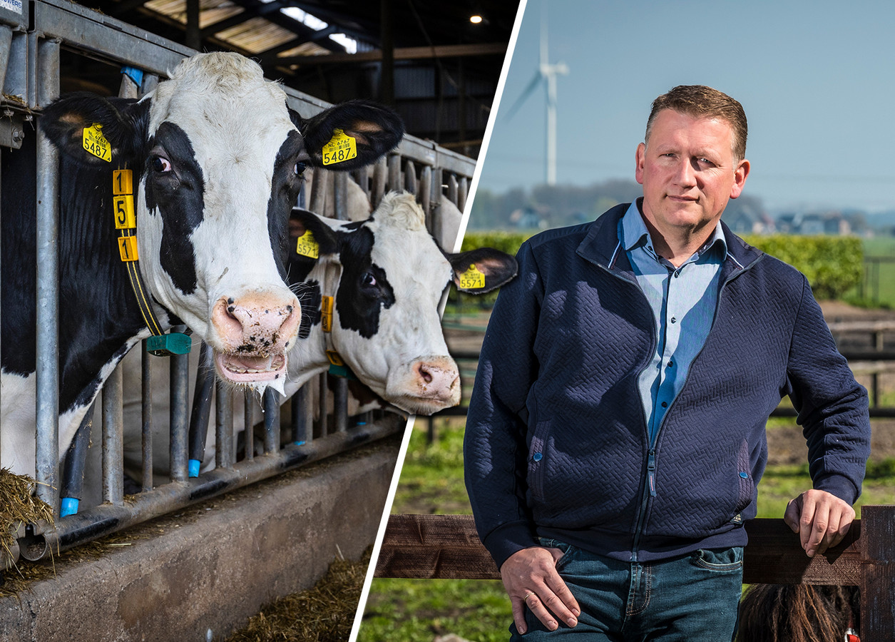 Zorgen over aanscherping stikstofnorm: ‘Nog moeilijker om vergunningen ...