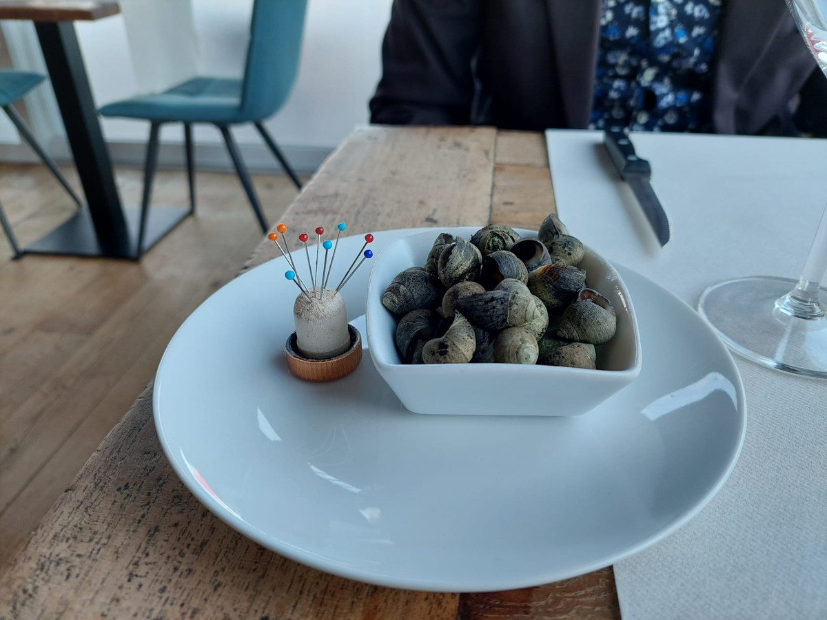 RESTOTIP. Ponton: smaakvolle brasseriekeuken én een uitzicht om van te ...