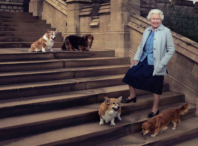 Queen Elizabeth haalt op haar 94ste dan toch nog twee hondjes in huis ...