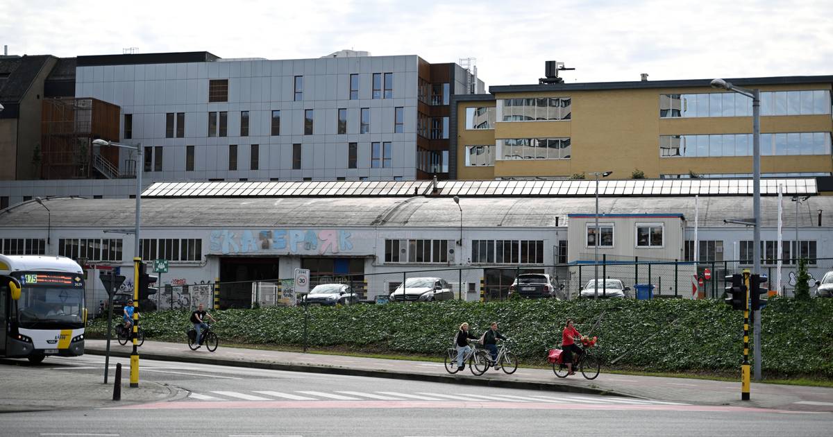 ‘Fok Reuzegom’ is niet meer: “Ook de stad deelde die verontwaardiging ...