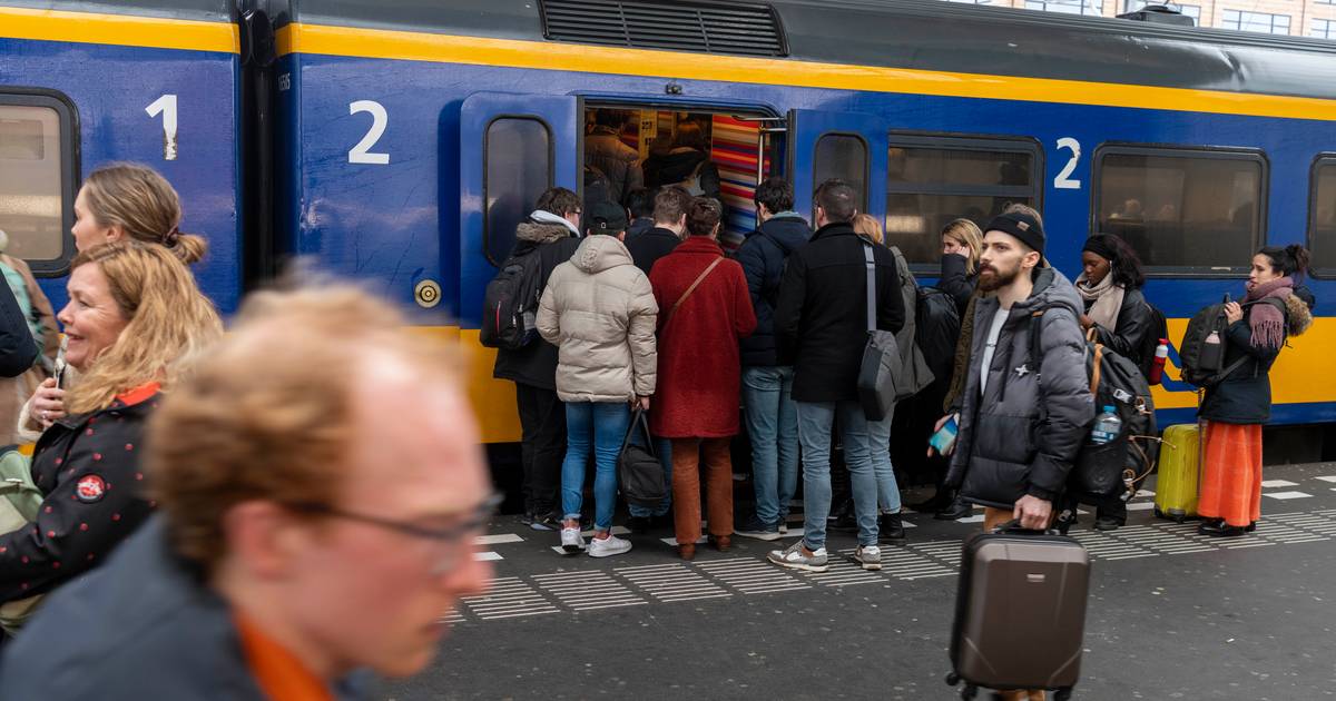 Station Tilburg is door de dassen plots een soort knooppunt: ‘Extra en langere treinen ...