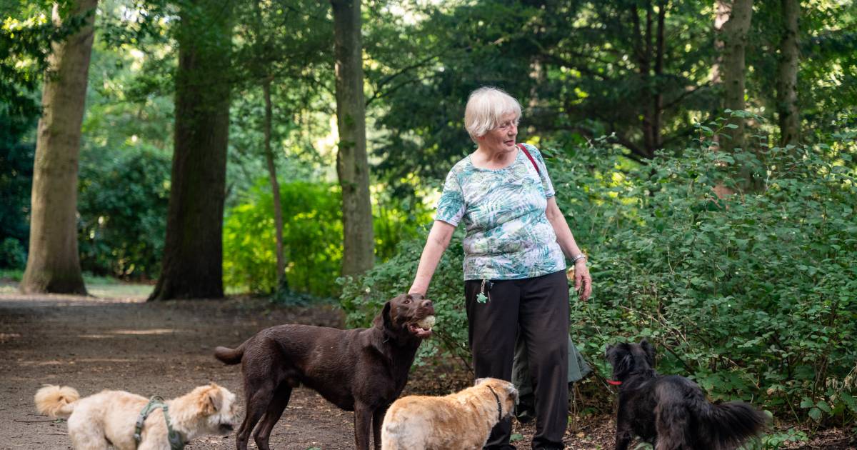 Onze trouwe viervoeters hebben gevolgen voor de natuur: ‘Moet ik mijn ...