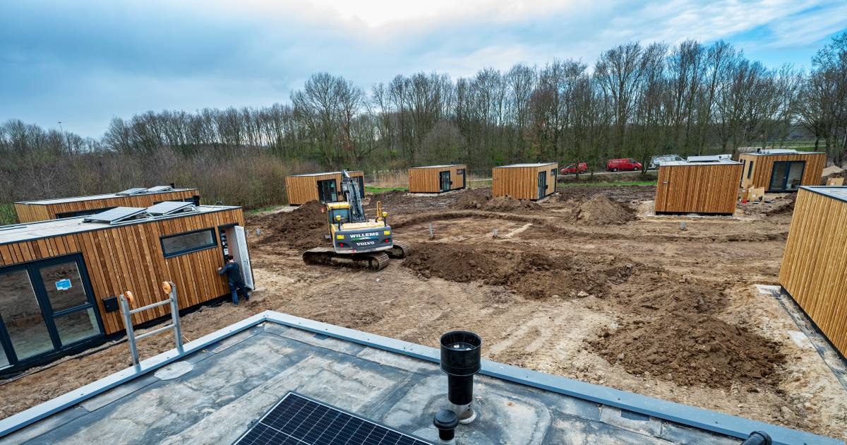 Krijgt Land van Cuijk 'skaeve huse' voor overlastgevende paradijsvogels ...