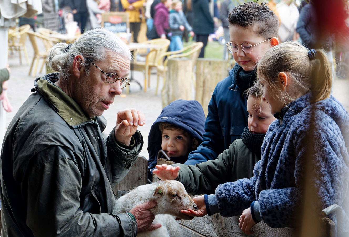 Lammetjes knuffelen, lentekriebels in Schijndel | Foto | AD.nl