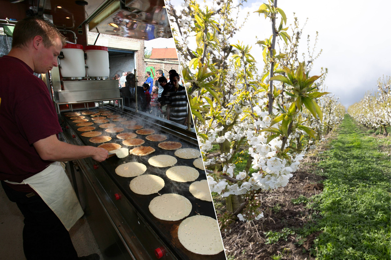 Wat te doen in Limburg dit paasweekend: van een paastocht met het gezin ...