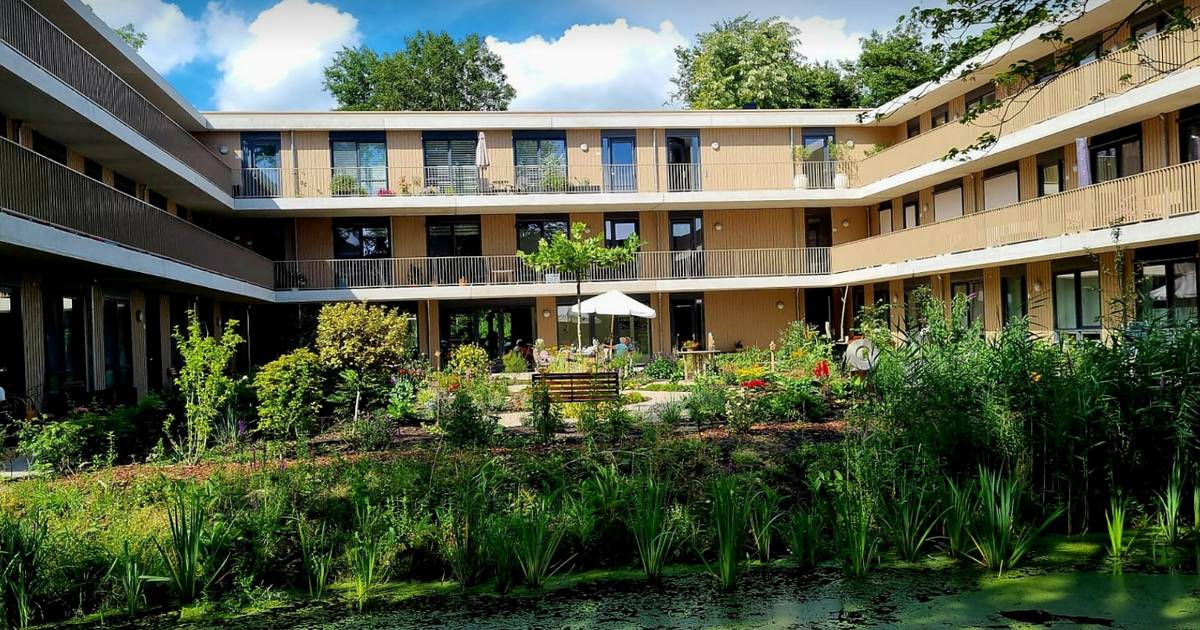 Een 'knarrenhof' in Dordt? 'Voorkomt eenzaamheid en is goed voor de ...
