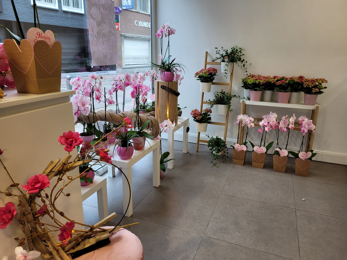 NET OPEN. ‘A Flowertale’ in de Bruggestraat: “We starten een nieuw, positief verhaal vol kleur ...