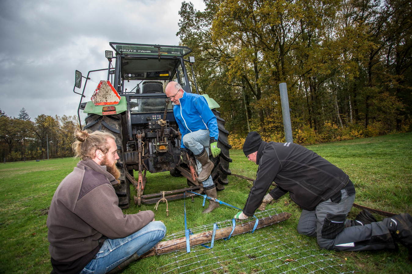 Roep om geld voor meer hekken tegen de wolf: ‘We moeten ze leren dat ...