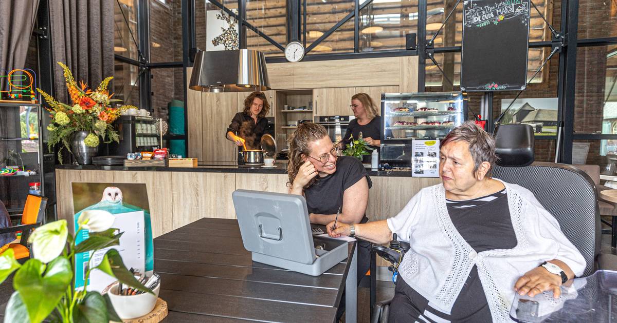 Mieke is in haar element in nieuw theehuis op de Oude Mars: ‘Op deze ...
