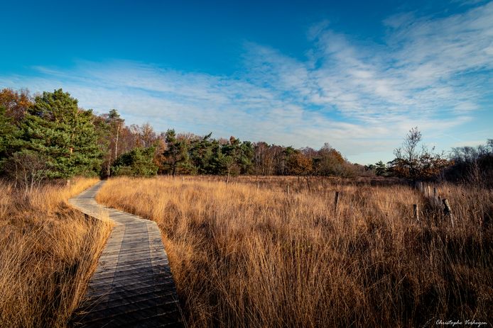Familieweekend in de Kempen: 9 hoogtepunten die je niet mag missen ...