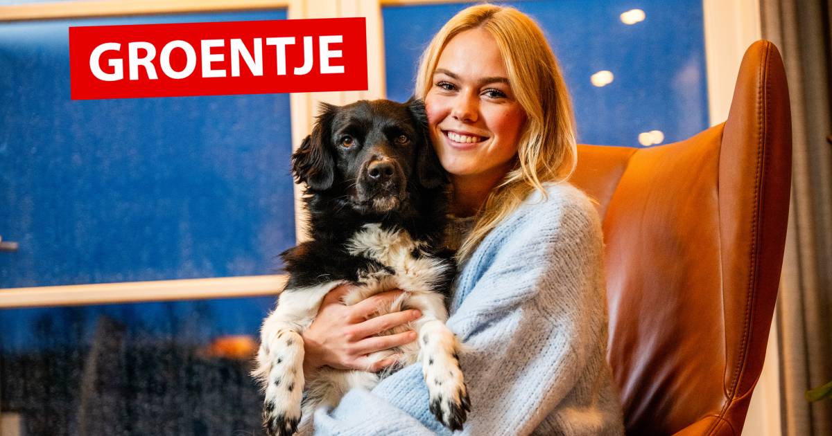 Demi (17) verraste veel mensen met haar studiekeuze: ‘Als ik iets wil ...