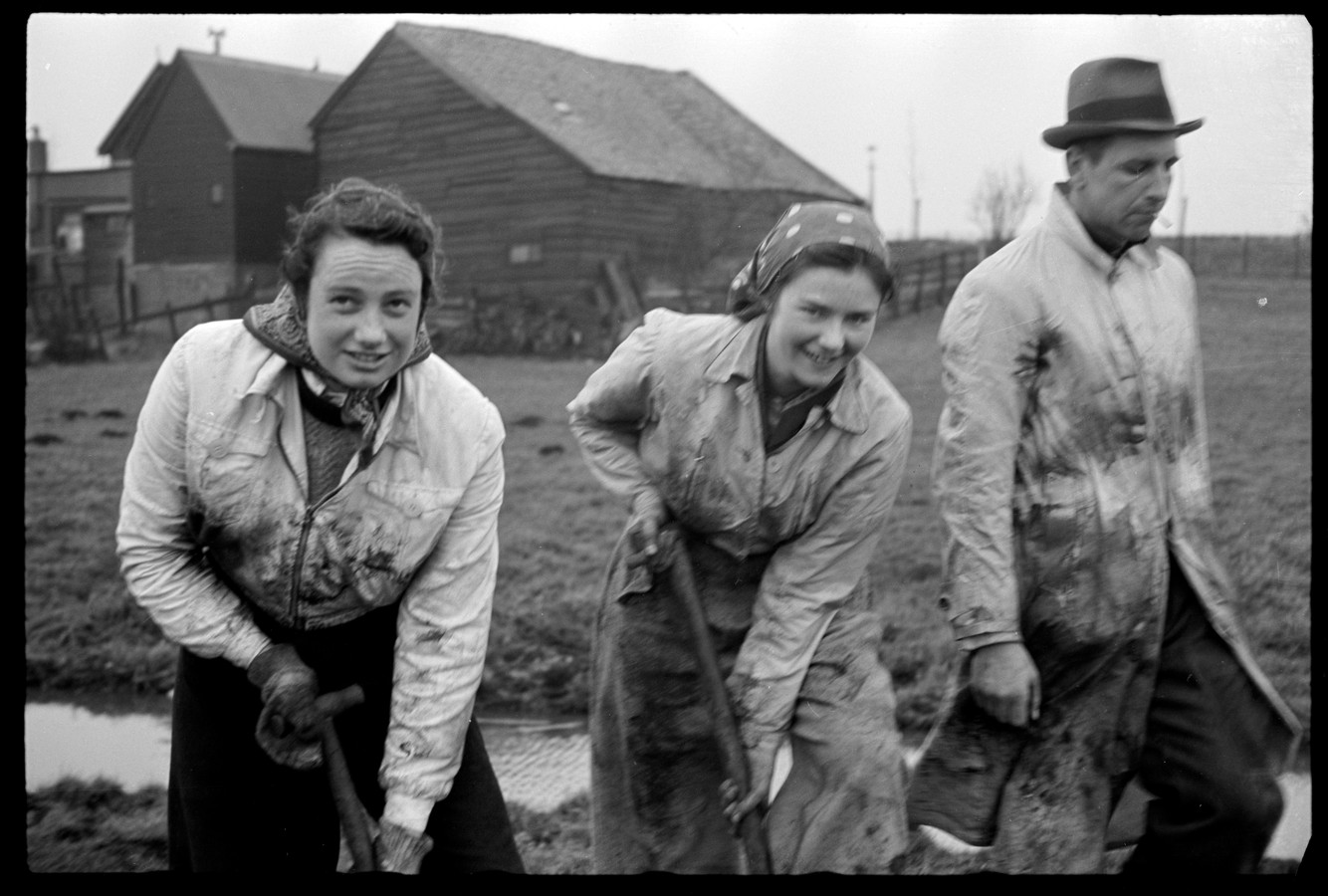 Honderden ‘nieuwe’ foto’s van Rotterdam tijdens de Tweede Wereldoorlog ...