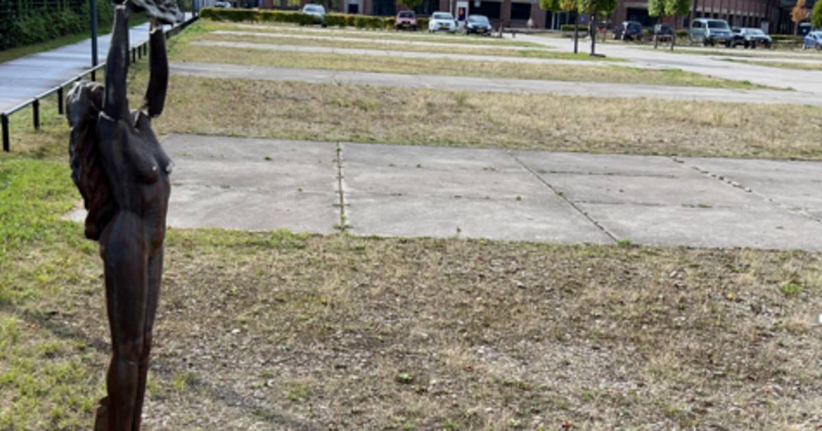 Politie Hengelo op zoek naar eigenaar van een gedumpt vrouwelijk naakt ...