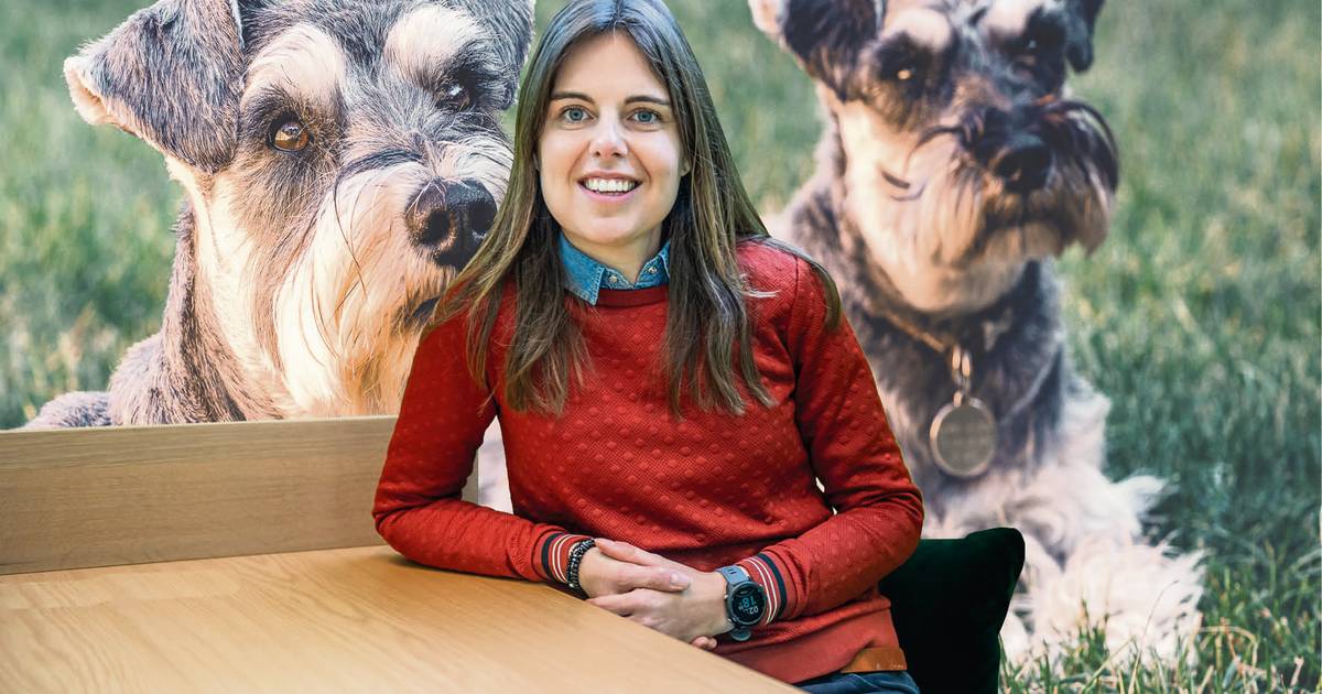 Schepen van Dierenwelzijn vraagt om vuurwerk achterwege te laten ...