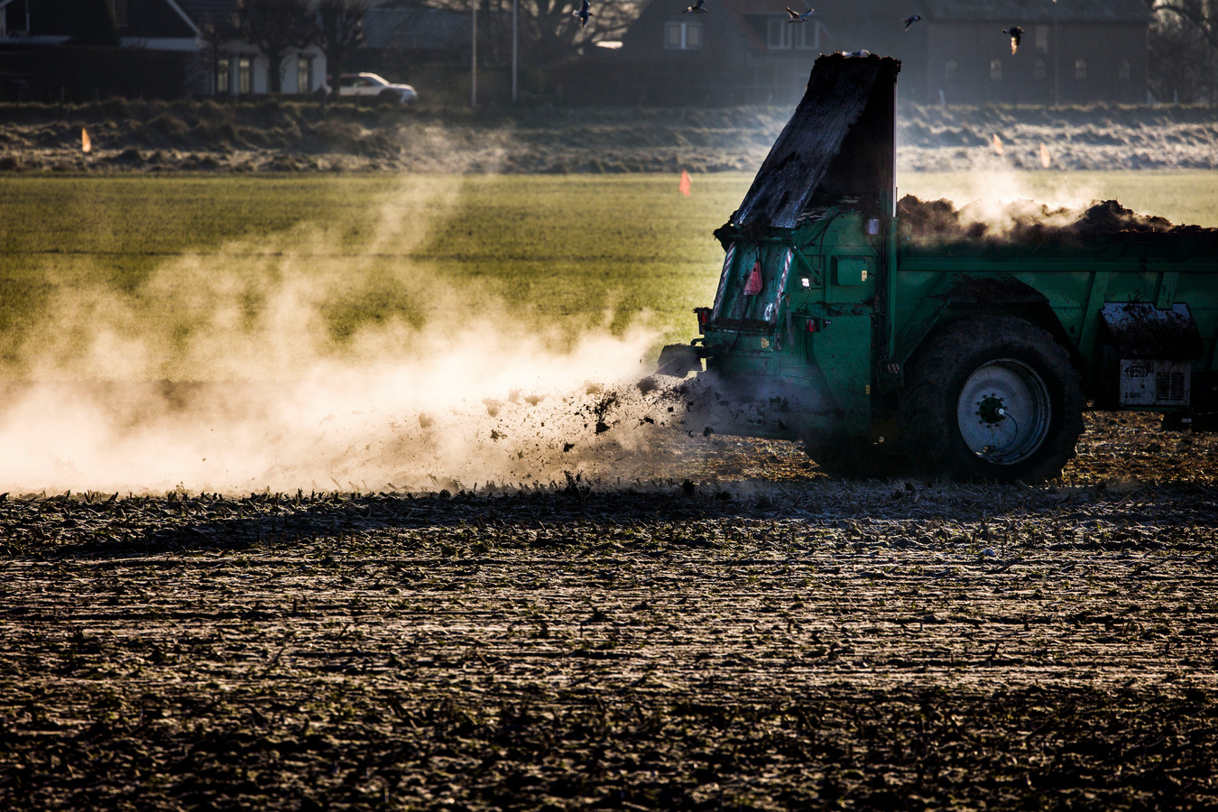Boeren in Groene Hart mogen minder mest uitrijden: wat zijn de gevolgen ...
